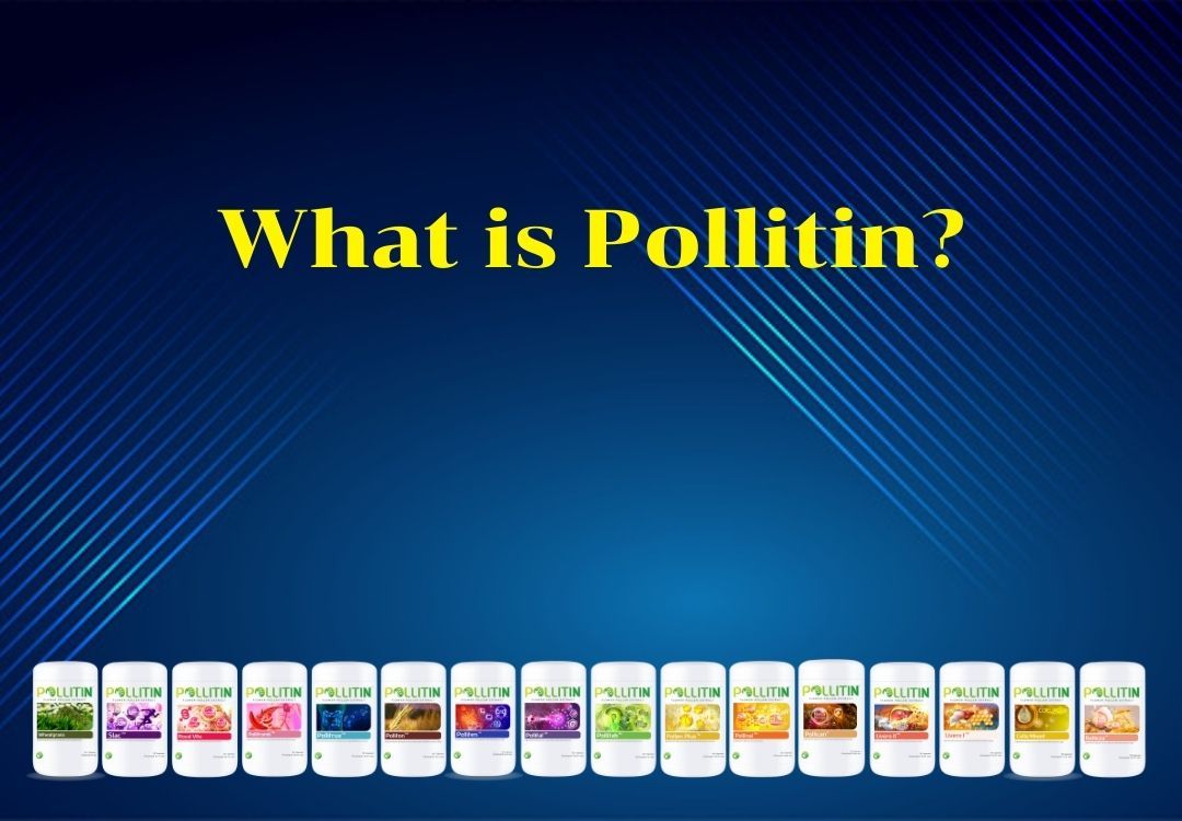 What is pollitin? - Happy Pollitin